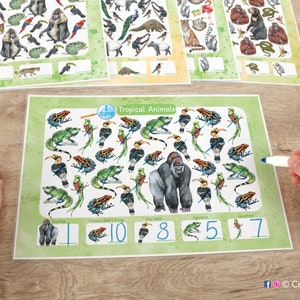 I Spy Tropical Rainforest Jungle Animals Counting Activity. Preschool ...