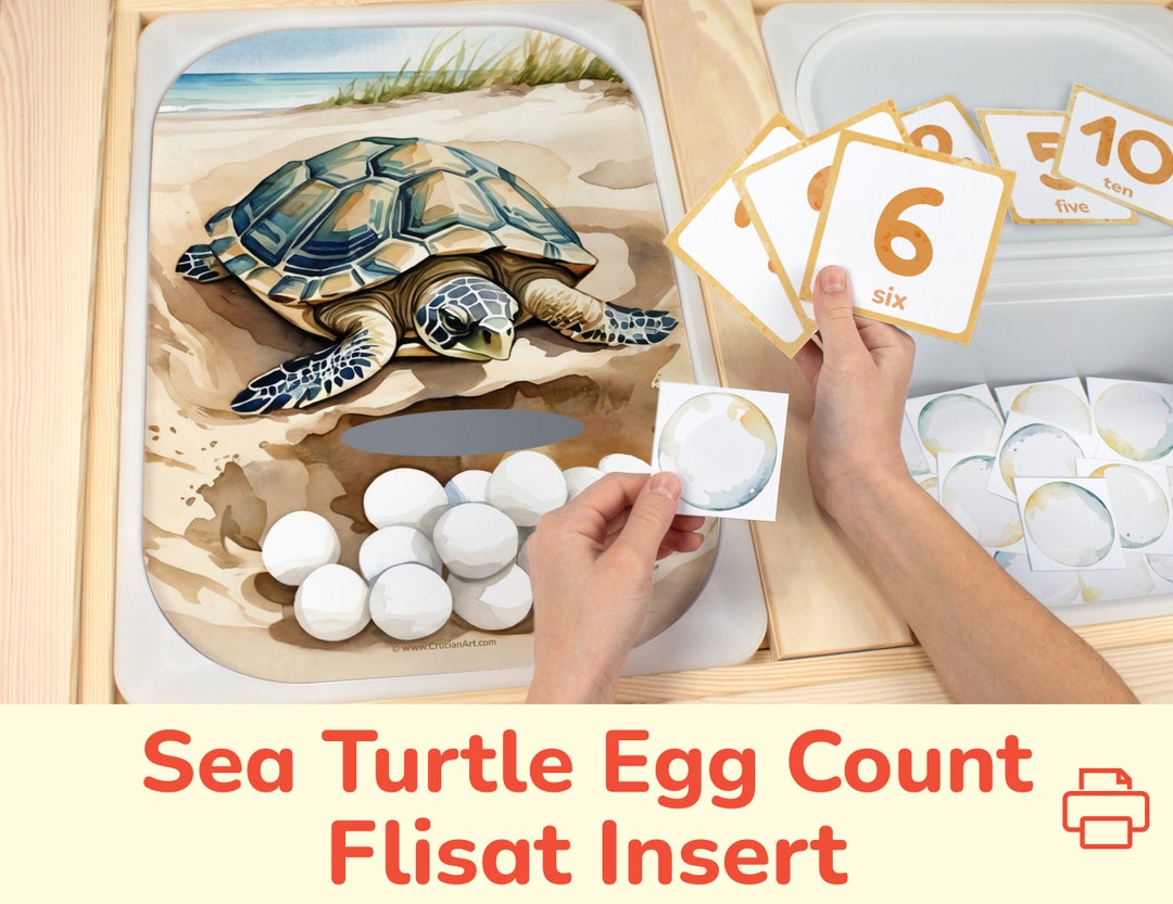 Sea Turtle Nest Flisat Insert: Egg Counting Activity for Sensory Table ...