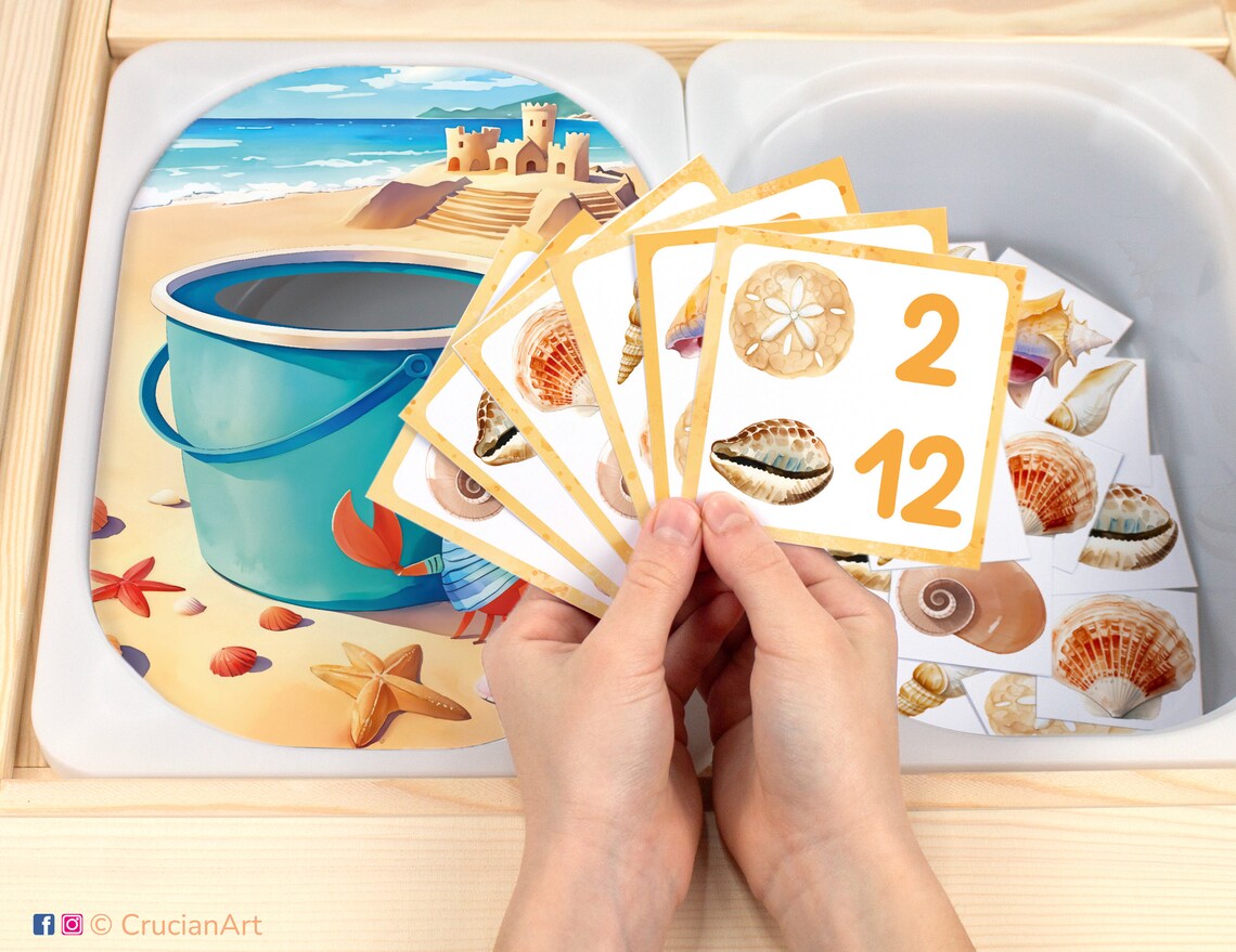 Seashells Flisat Insert: Sort and Count to 12 Summer Beach Printable ...