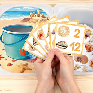 Seashells Flisat Insert: Sort and Count to 12 Summer Beach Printable ...