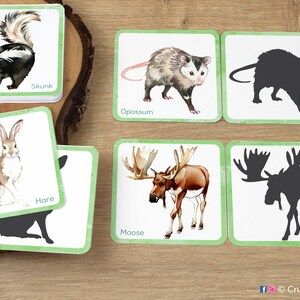 Woodland Animals Shadow Matching Activity: Toddler Printable Match ...
