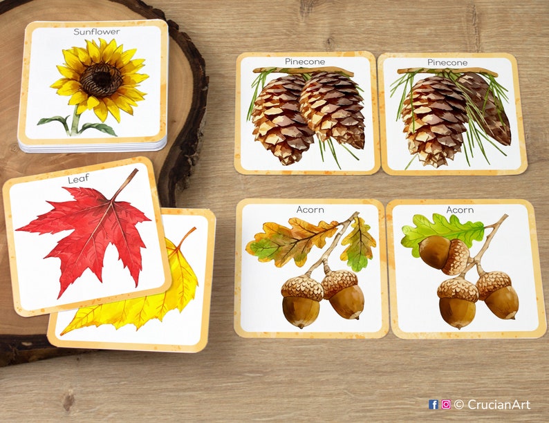 Fall Theme Matching Cards: Printable Learning Activity for Toddler ...