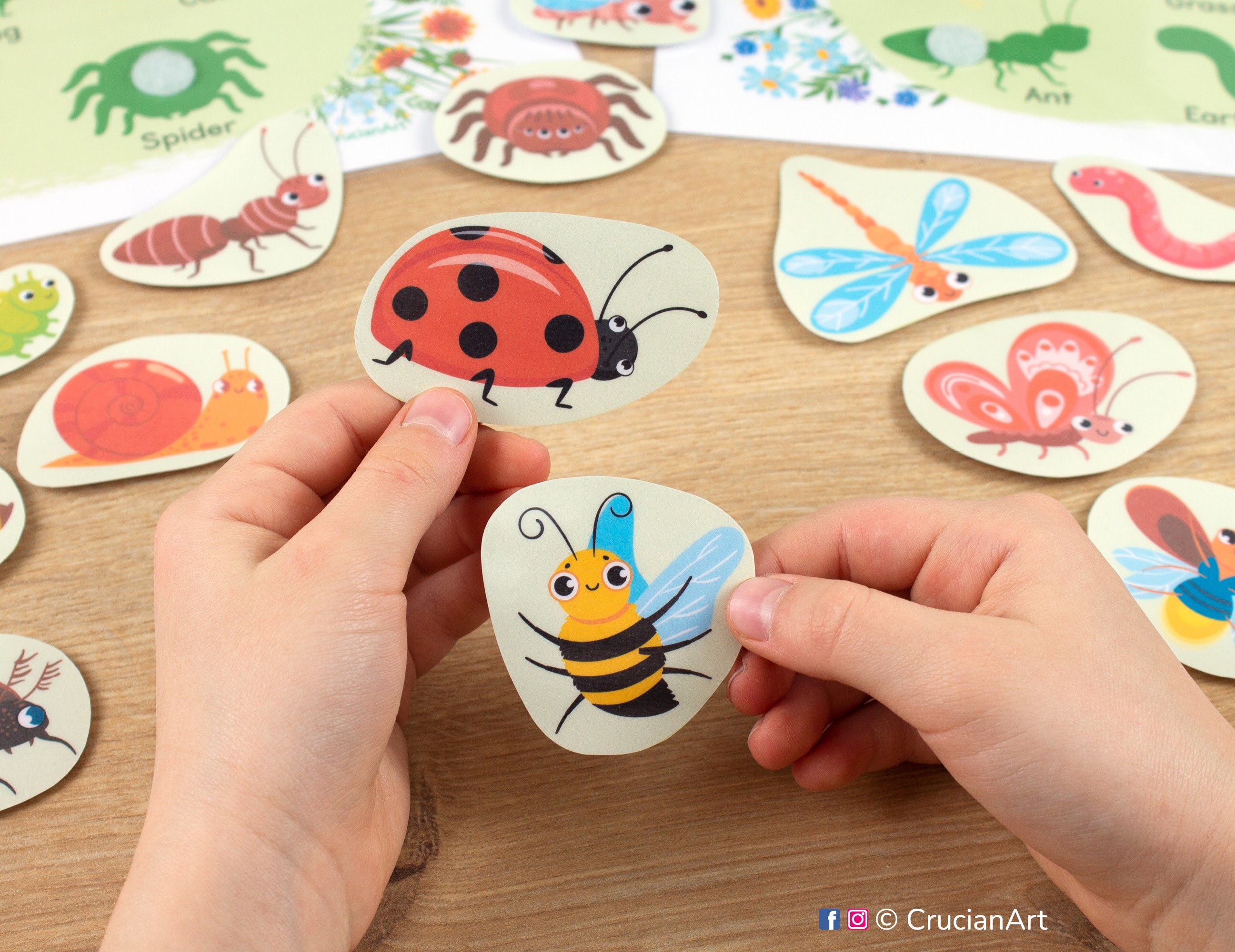 Little Creatures: Bugs & Insects Shadow Matching Activitiy. Printable ...