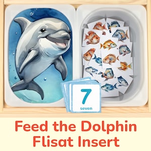Feed the Dolphin Fish Flisat Insert: Counting up to 12 Ocean Printable ...