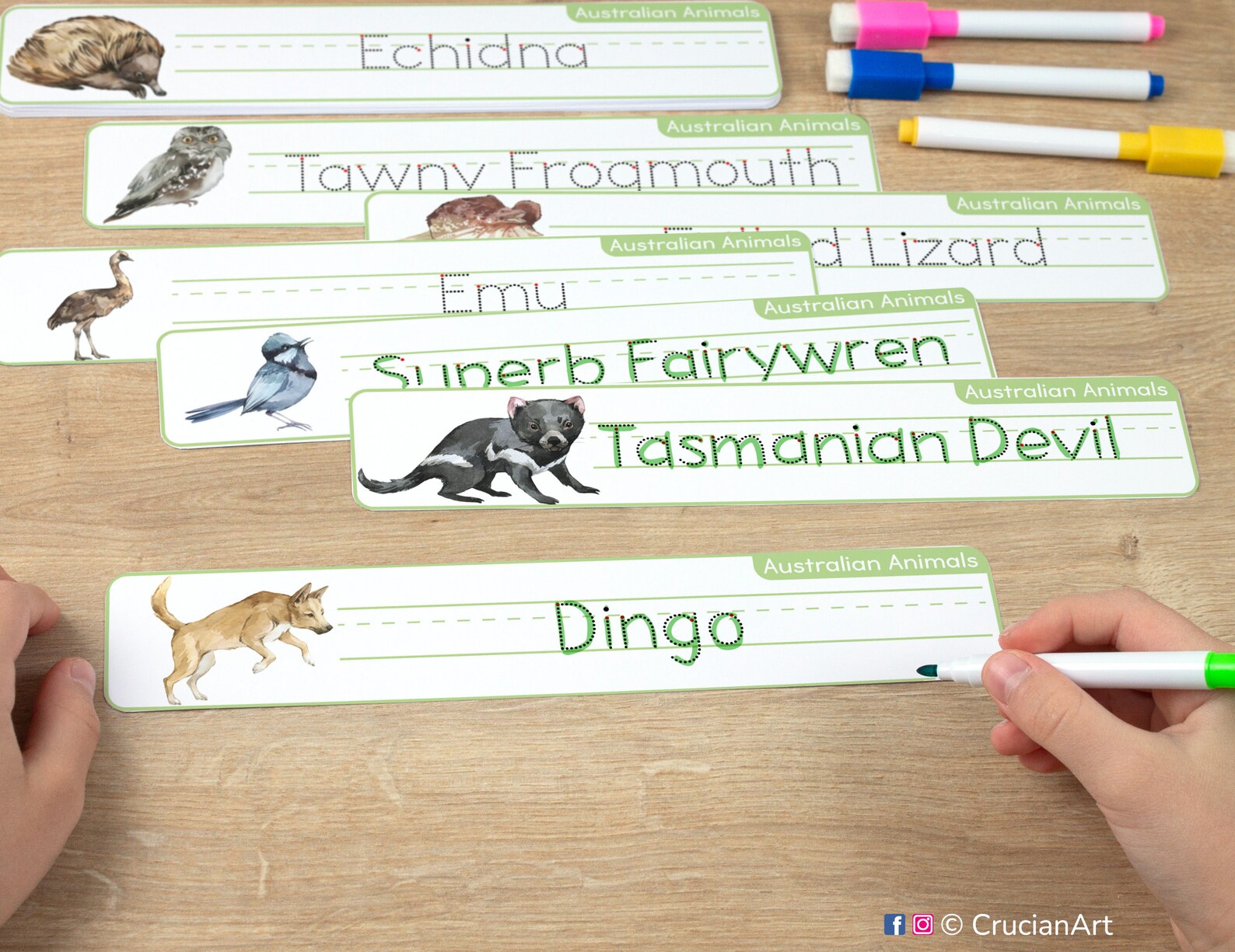 Australian Animals Tracing Strips: Printable Educational Activities ...