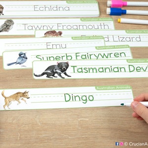 Australian Animals Tracing Strips: Printable Educational Activities ...