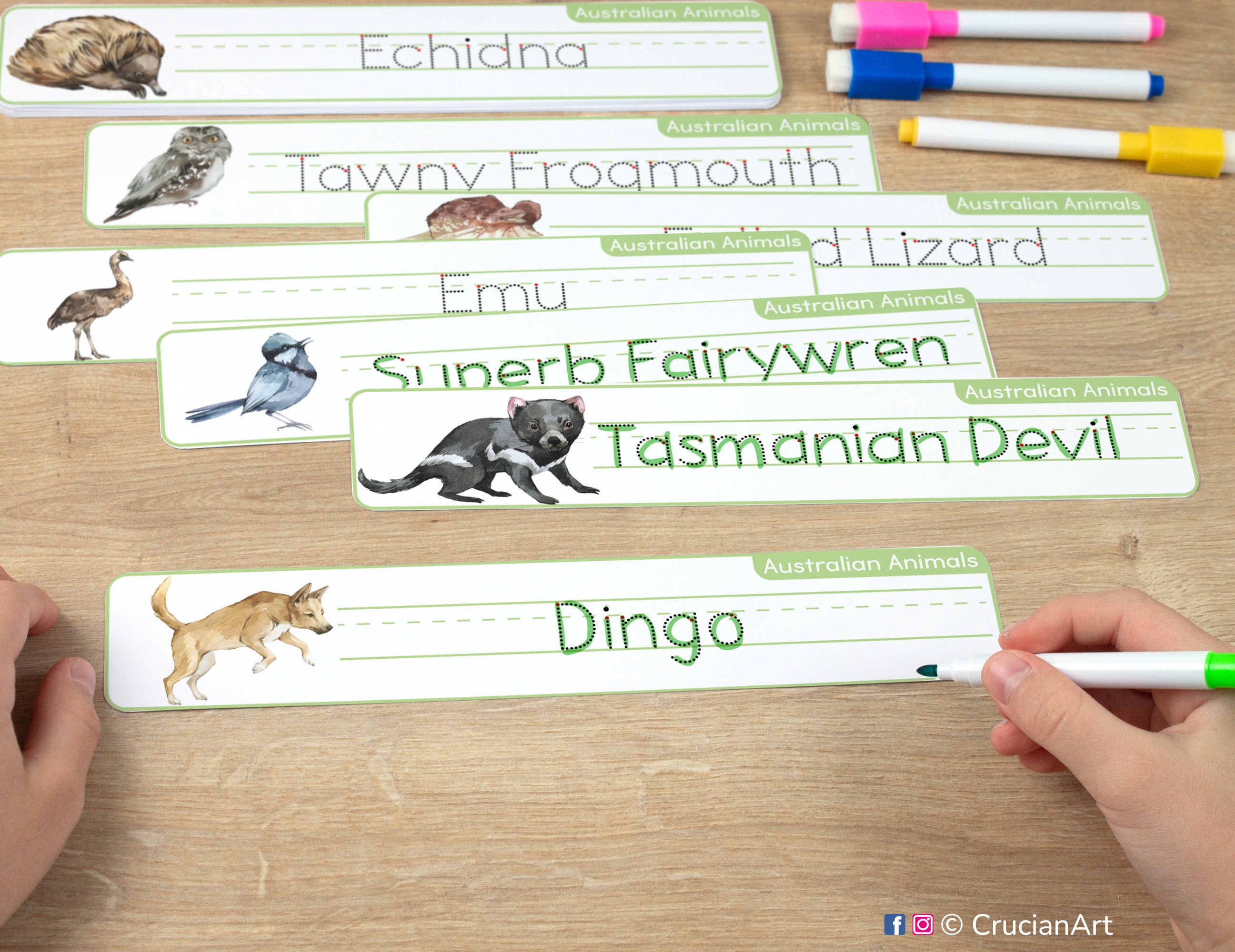 Australian Animals Tracing Strips: Printable Educational Activities ...