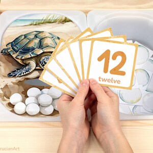 Sea Turtle Nest Flisat Insert: Egg Counting Activity for Sensory Table ...