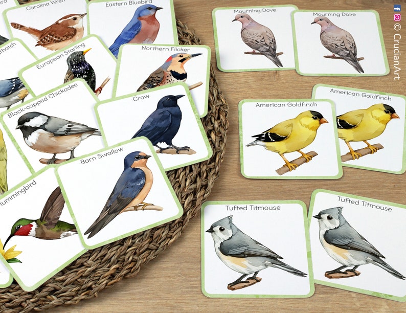 North American Backyard Birds Memory Game: Printable Matching Activity ...