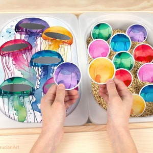 Jellyfish Color Sorting Flisat Insert: Printable Learning Activity for ...