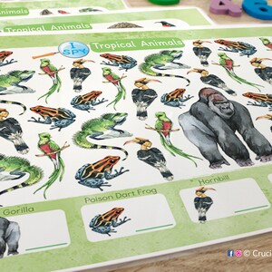 I Spy Tropical Rainforest Jungle Animals Counting Activity. Preschool ...