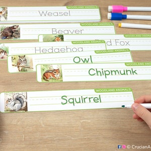Woodland Animals Handwriting Worksheets: Printable Vocabulary Activity ...
