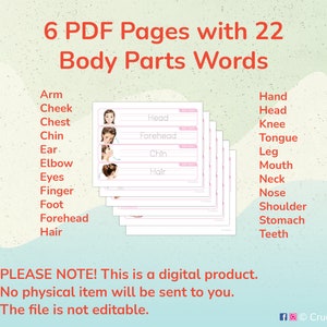 Girl Version Body Parts Tracing Strips: Printable Educational ...