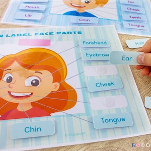 Body and Face Parts Printable Learning Pack for Toddler, Preschool, Pre ...