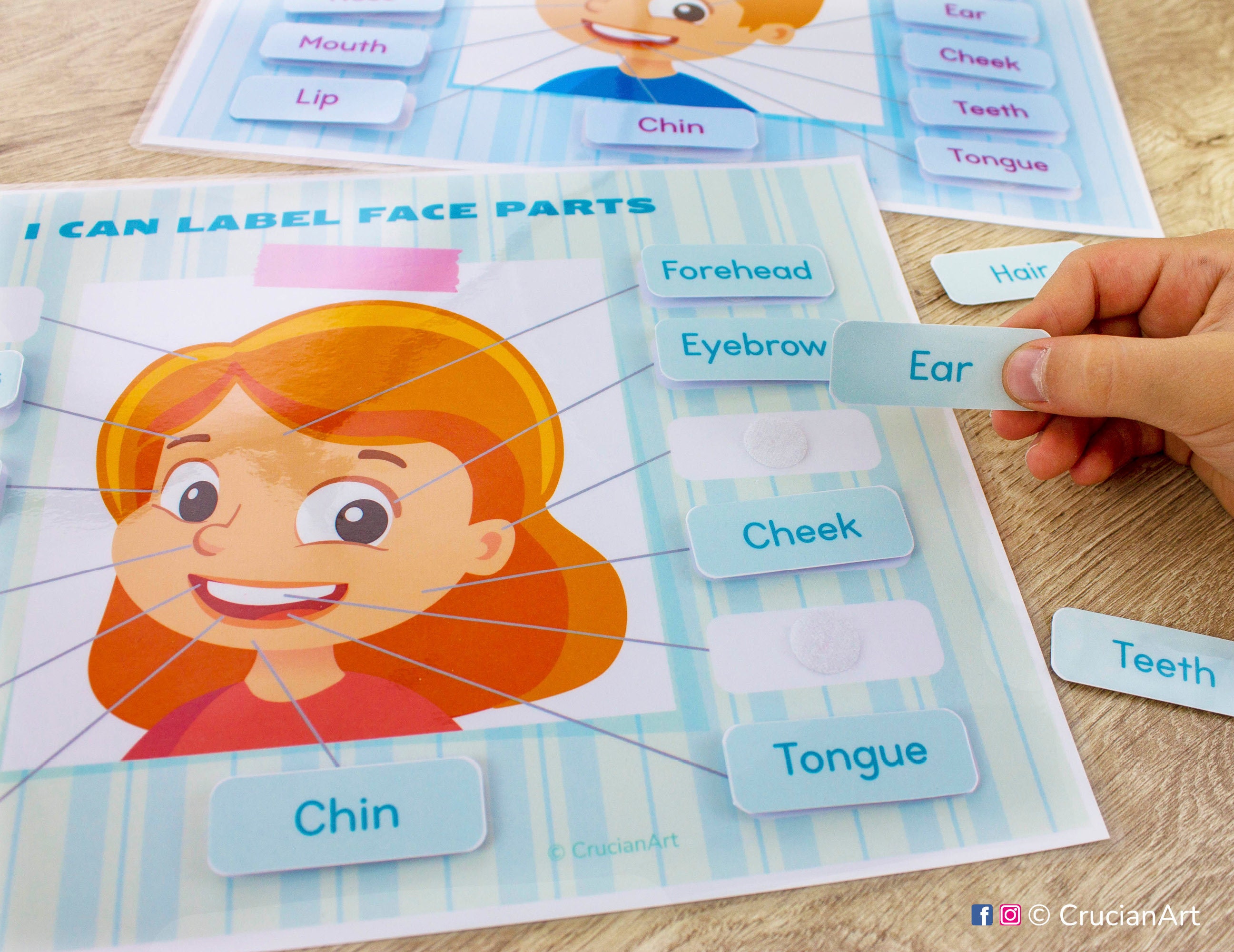 Body and Face Parts Printable Learning Pack for Toddler | Etsy