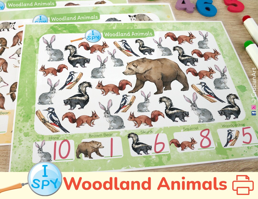 Woodland Animals I Spy Counting Activity. Preschool Learning Worksheets ...