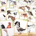 Farm Animals Puzzle Pairs: Toddler Learning Activity. Match - Etsy