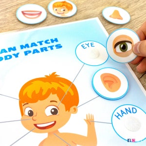 Body and Face Parts Printable Learning Pack for Toddler, Preschool, Pre ...