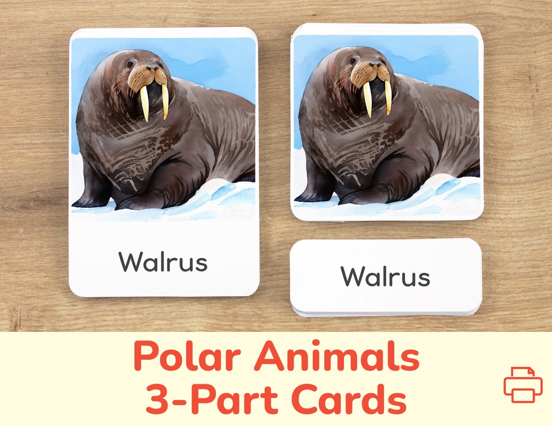 Polar Animals Three-part Cards: Visual Cards and Words Matching ...