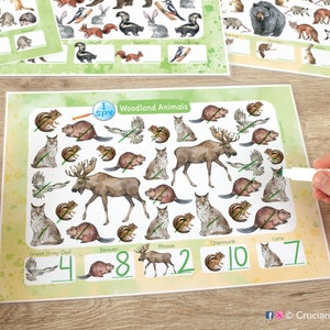 Woodland Animals I Spy Counting Activity. Preschool Learning Worksheets ...