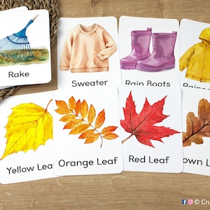 Fall Themed Flashcards for Seasonal Vocabulary Boosts. Toddler ...