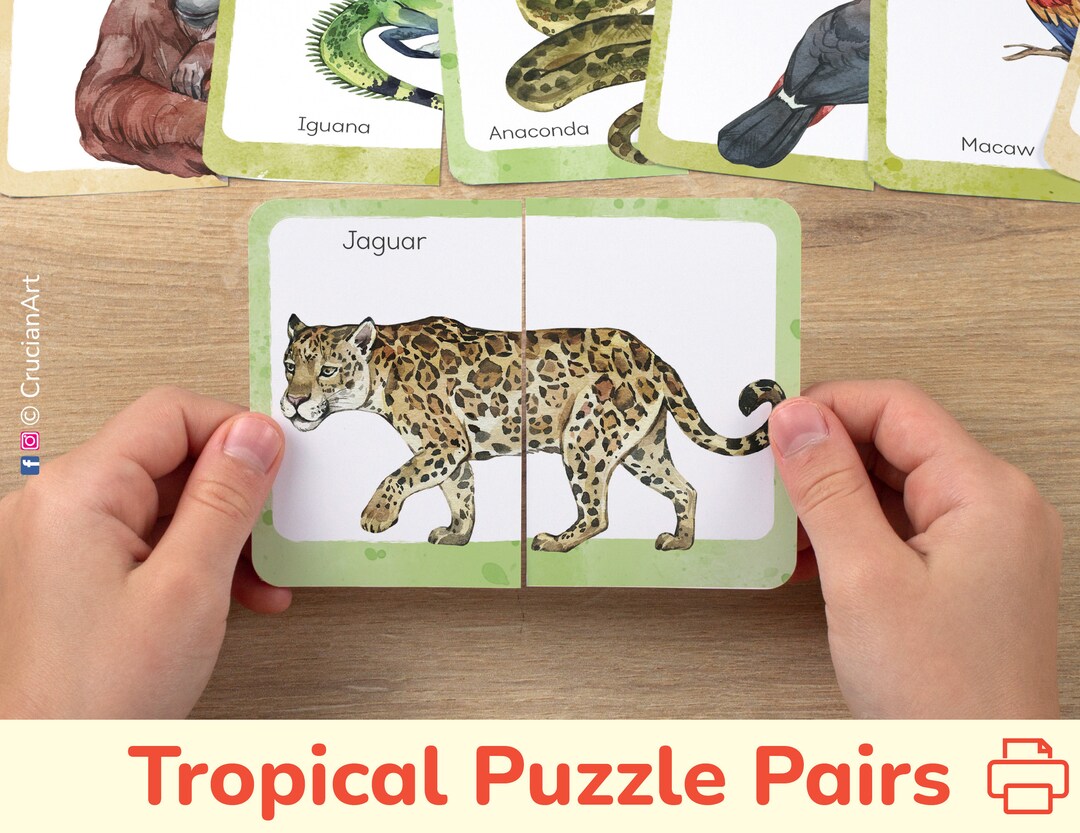 Tropical Rainforest Animals Puzzle Pairs: Printable Match Cards ...