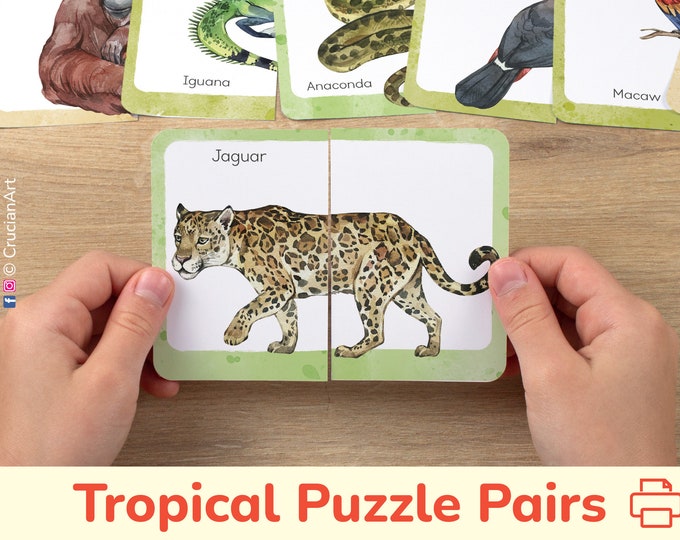Layers of a Rainforest Wooden Puzzle - Amazon Rainforest Anatomy ...