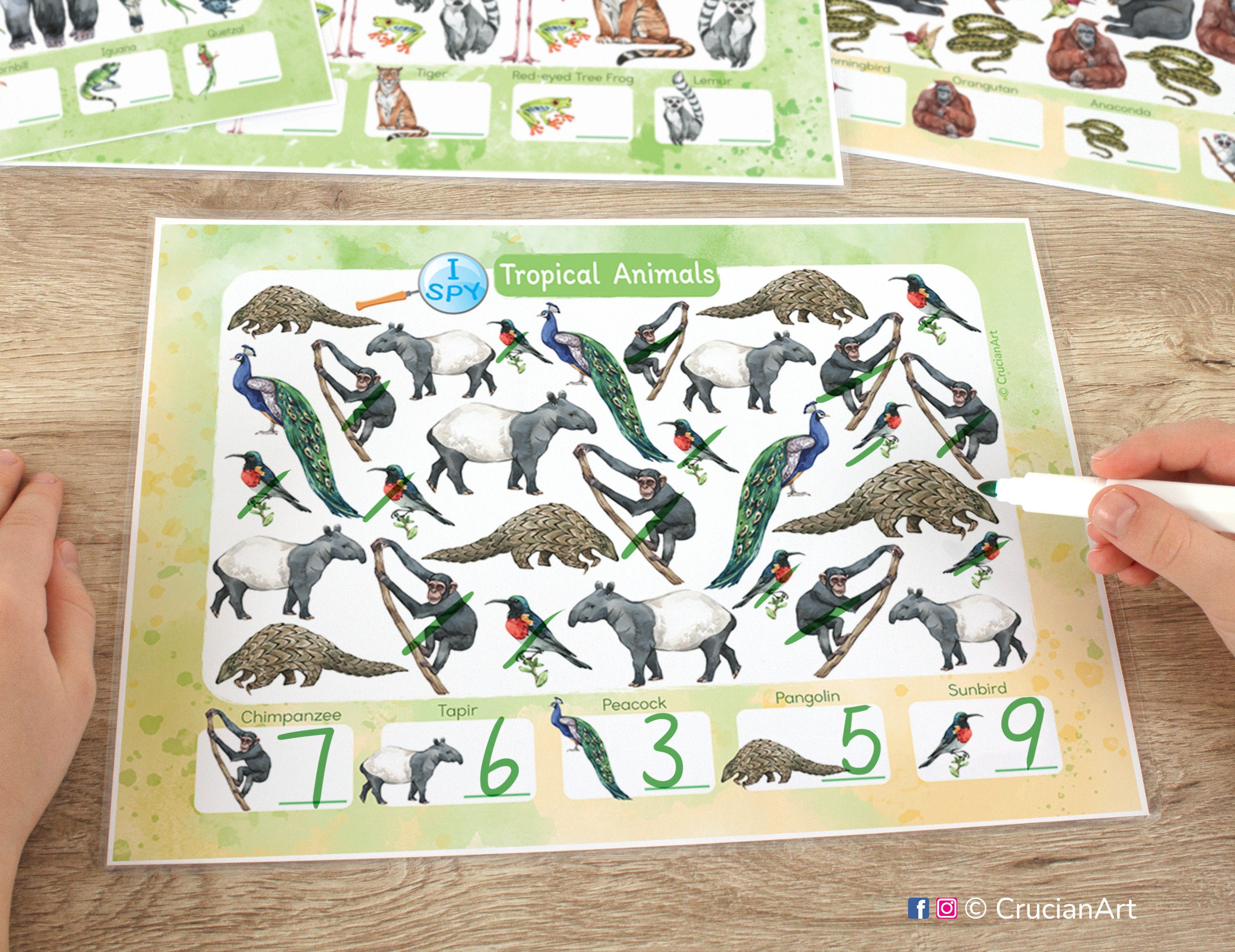 I Spy Tropical Rainforest Jungle Animals Counting Activity. Preschool ...