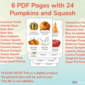 Pumpkin & Squash Flashcards: Seasonal Visual Cards for Fall Education ...