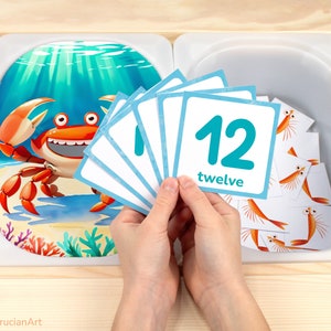 Feed the Crab Plankton Flisat Insert: Counting Activity for Sensory ...