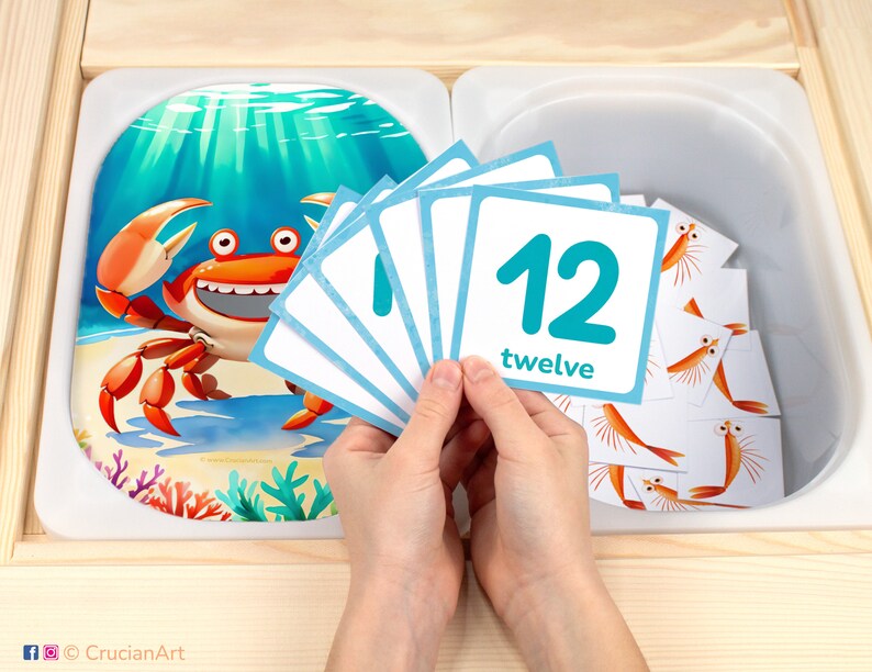 Feed the Crab Plankton Flisat Insert: Counting Activity for Sensory ...