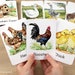 On the Farm Printable Flashcards: Farm Animals Flash Cards, Preschool ...