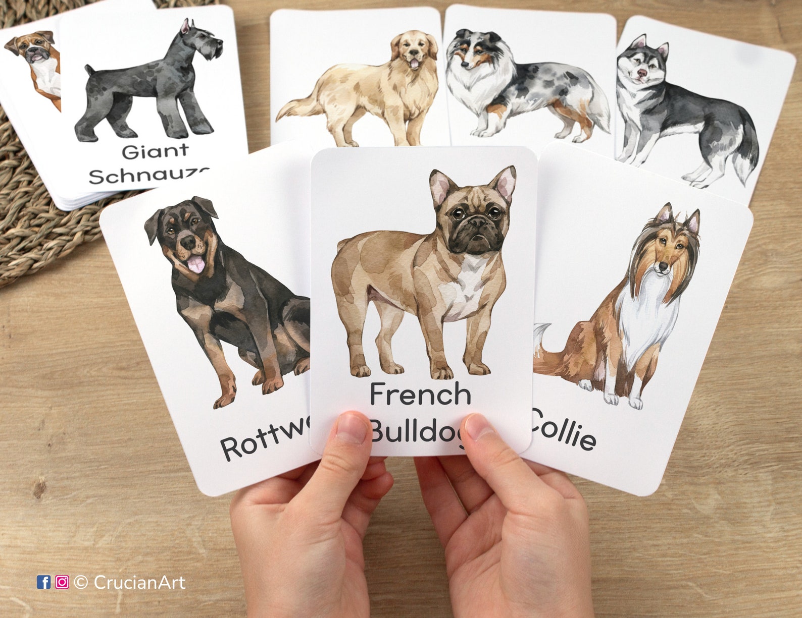 Dog Breeds Flashcards: Set of Printable Flash Cards. Preschool Learning ...
