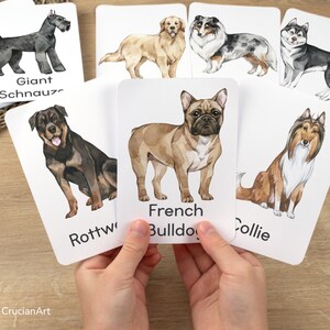 Dog Breeds Flashcards: Set of Printable Flash Cards. Preschool Learning ...