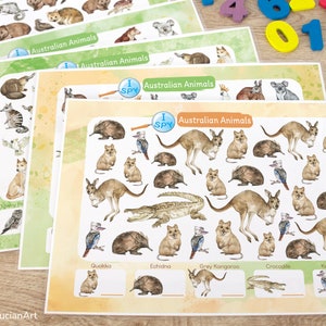Australian Animals I Spy Counting Activity. Preschool Learning ...