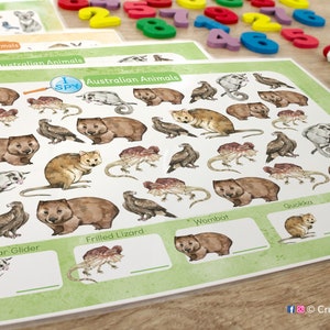 Australian Animals I Spy Counting Activity. Preschool Learning ...