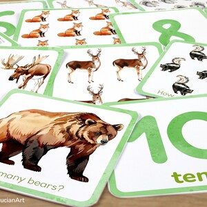 Woodland Animals Counting Activity: Printable Matching Cards. Preschool ...