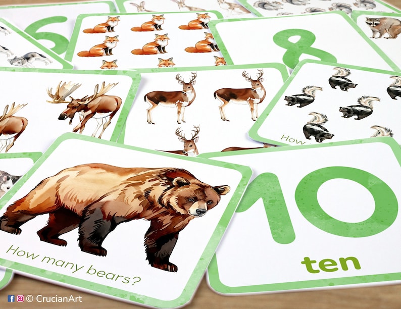 Woodland Animals Counting Activity: Printable Matching Cards. Preschool ...