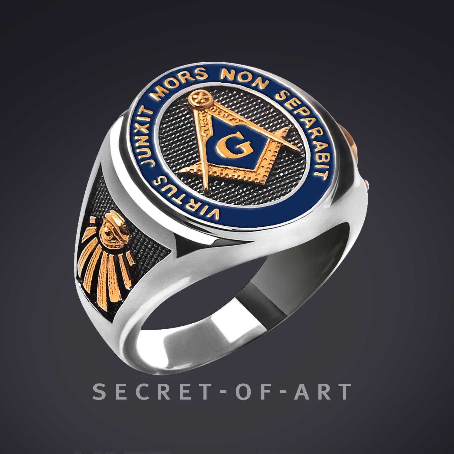 Masonic Ring Signet Ring Freemason Master Mason Freemasonry - Etsy