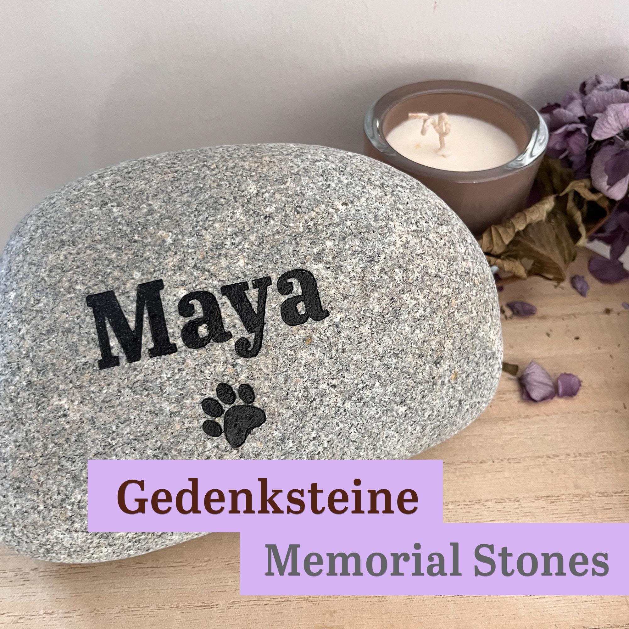 Elegantes Tiername Mit H Bild