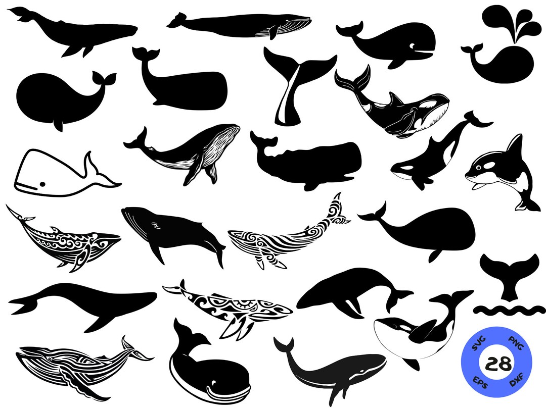 Whale SVG Bundle, Orca Svg, Whale Png, Whale Eps, Whale Vector, Whale ...