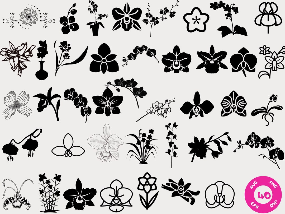 Orchids Flower SVG, Orchid SVG, Flower Svg, Orchid Cut File, Floral Svg ...
