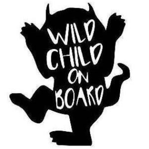WILD CHILD on BOARD Funny Decal Free Shipping | Etsy