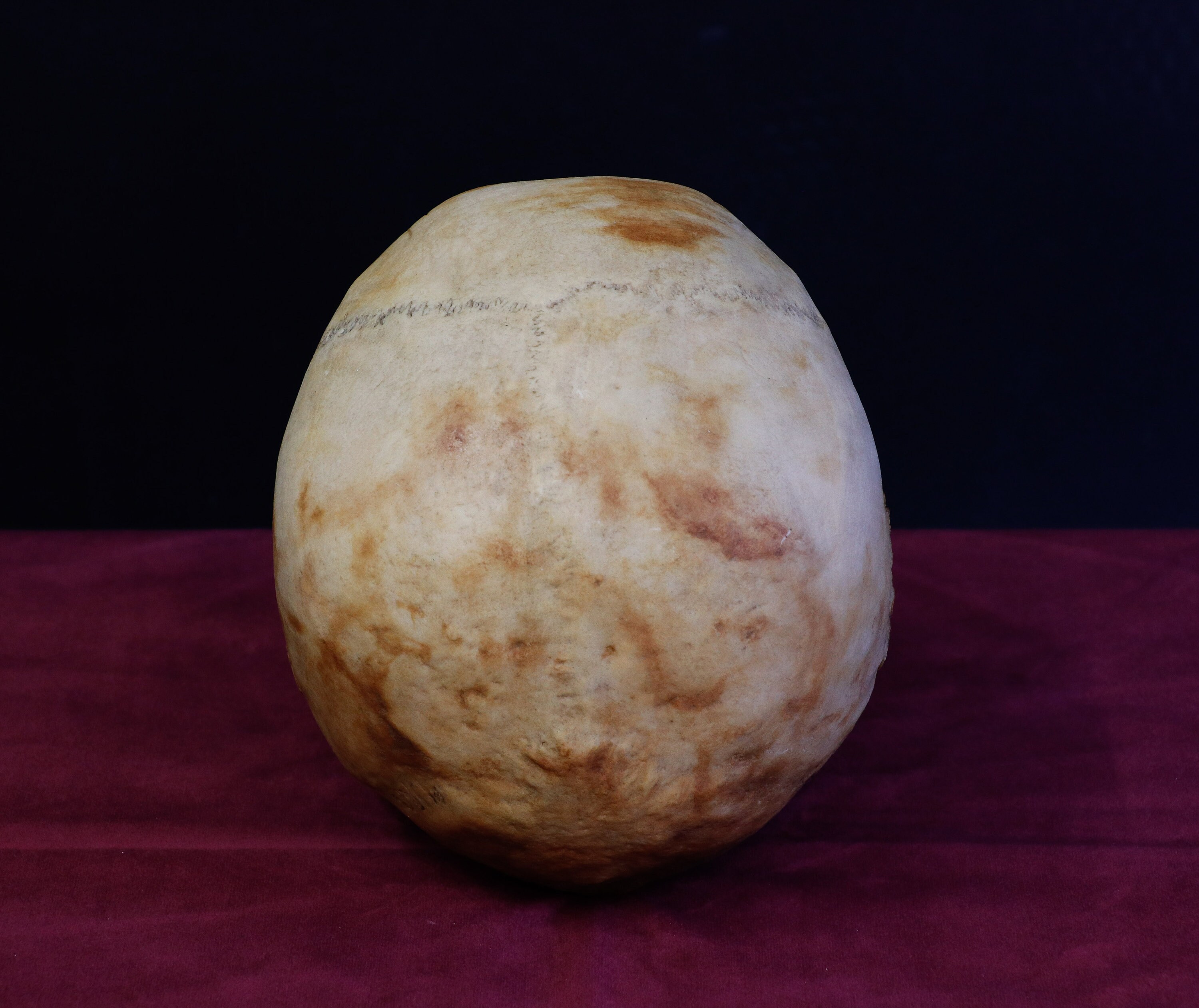 Hyper Realistic Skull Replica the Original | Etsy