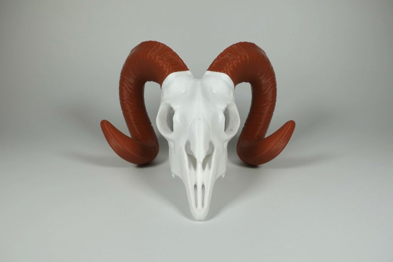 3D Printer Ram Skull - - Etsy