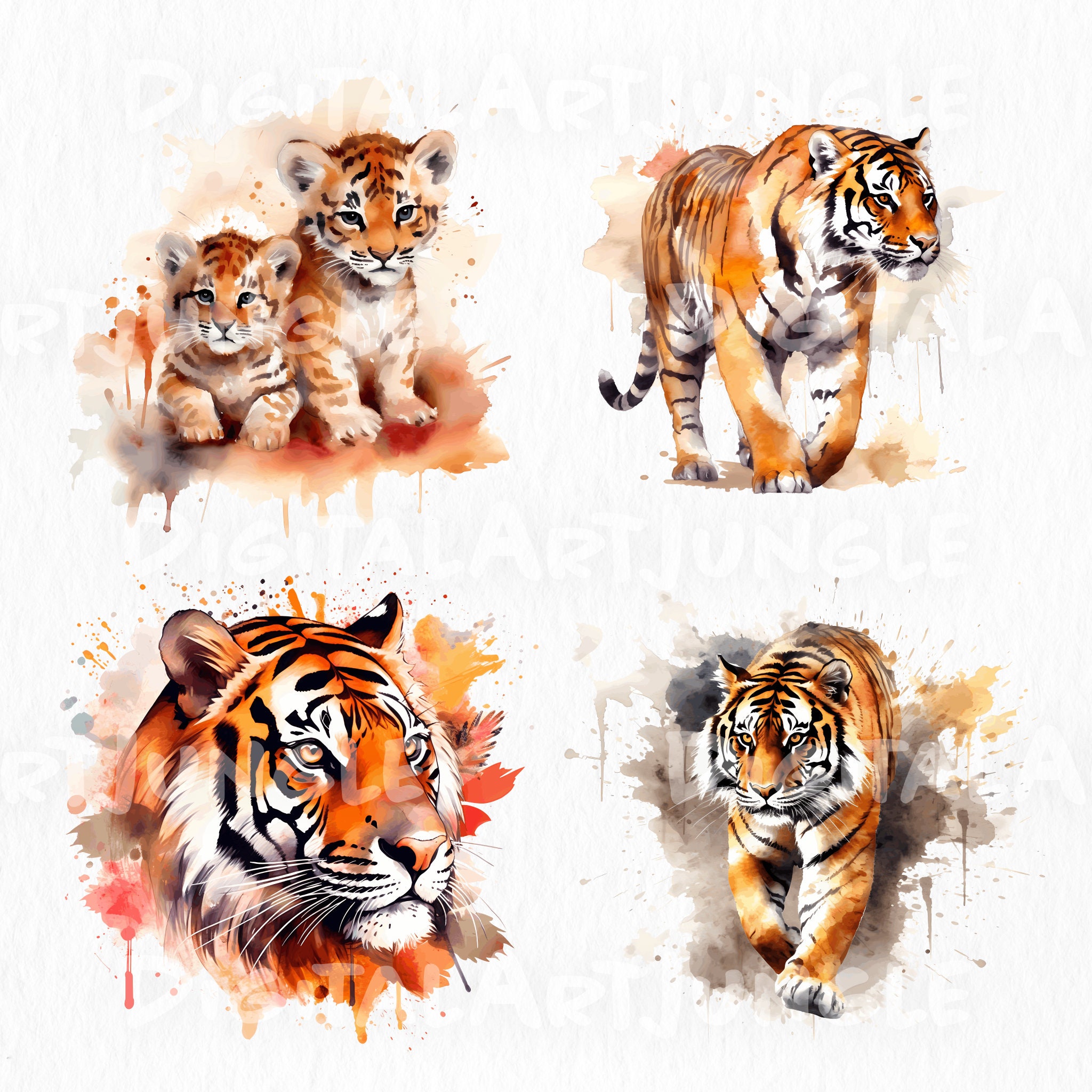 12 Tiger Animal Watercolor Clipart Collection,transparent Png,high ...