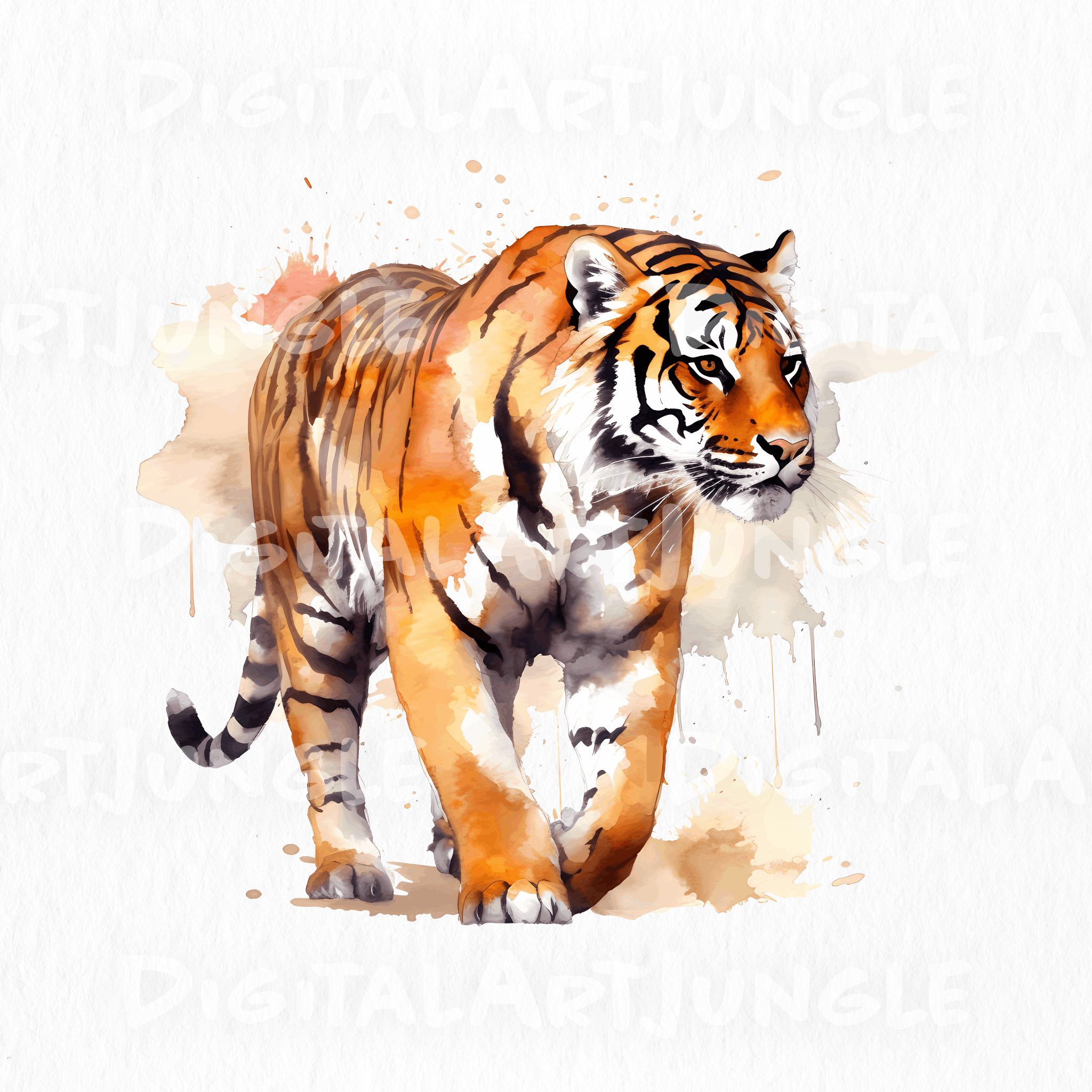 12 Tiger Animal Watercolor Clipart Collection,transparent Png,high ...