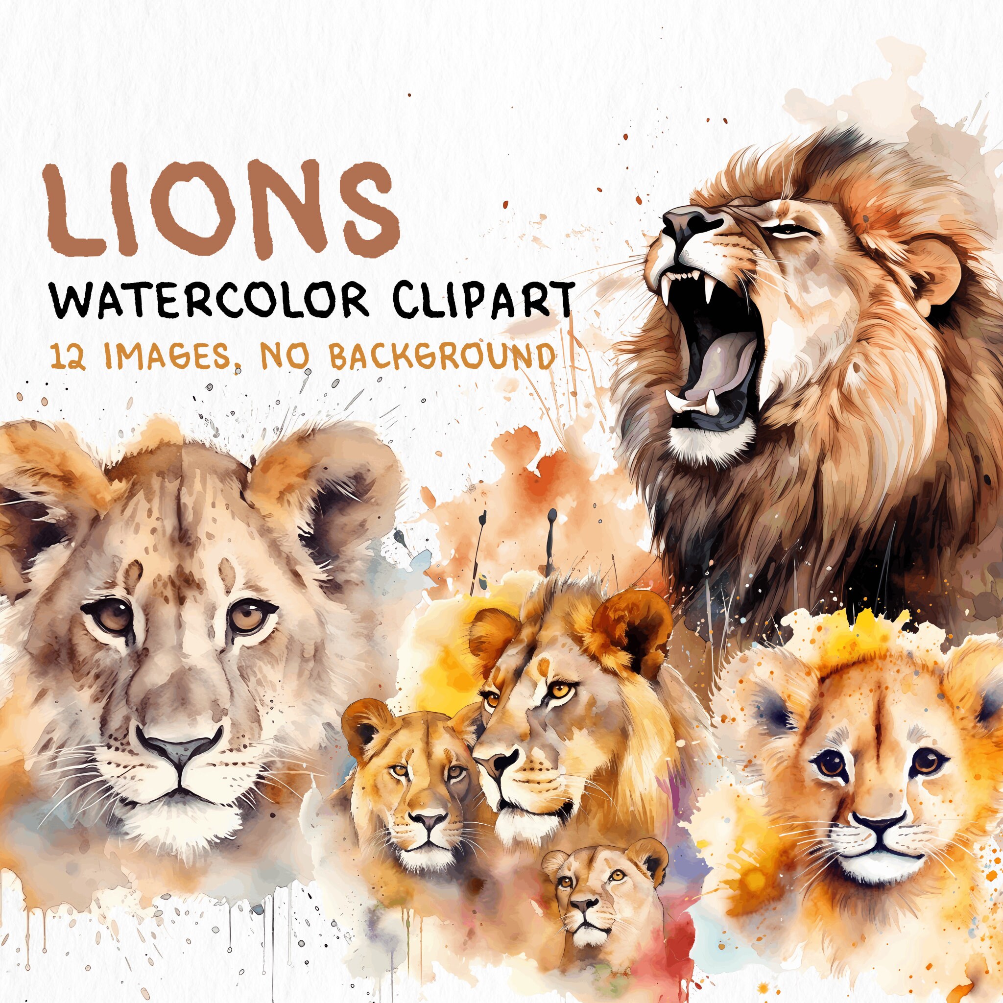 12 Lion Animal Watercolor Clipart Collection,transparent Png,high ...