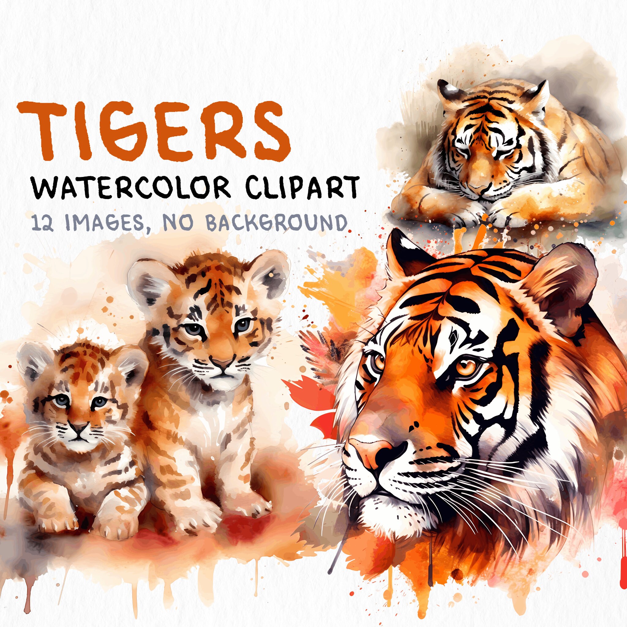 12 Tiger Animal Watercolor Clipart Collection,transparent Png,high ...