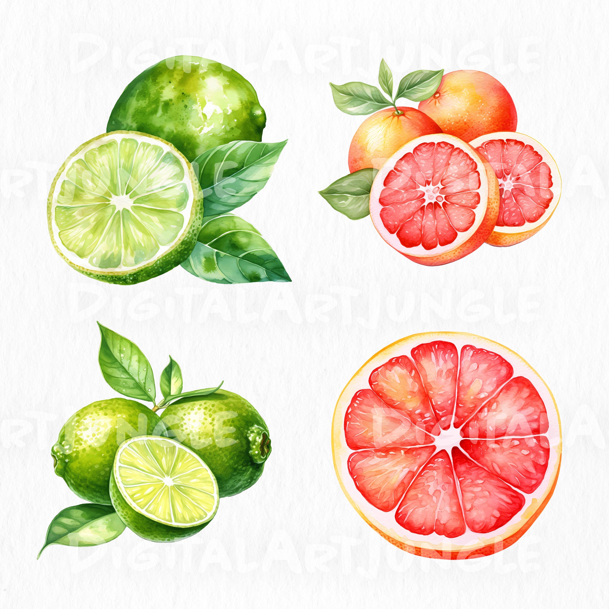12 Delicious Citrus Fruit Watercolor Clipart Collection,transparent Png ...
